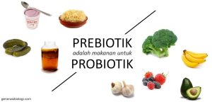 Pengertian Probiotik dan Prebiotik - Generasi Biologi